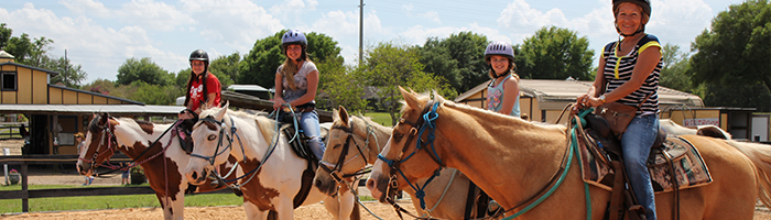 Ellis Exclusive Exploring Florida: Local Horse Riding - Ellis Exclusive